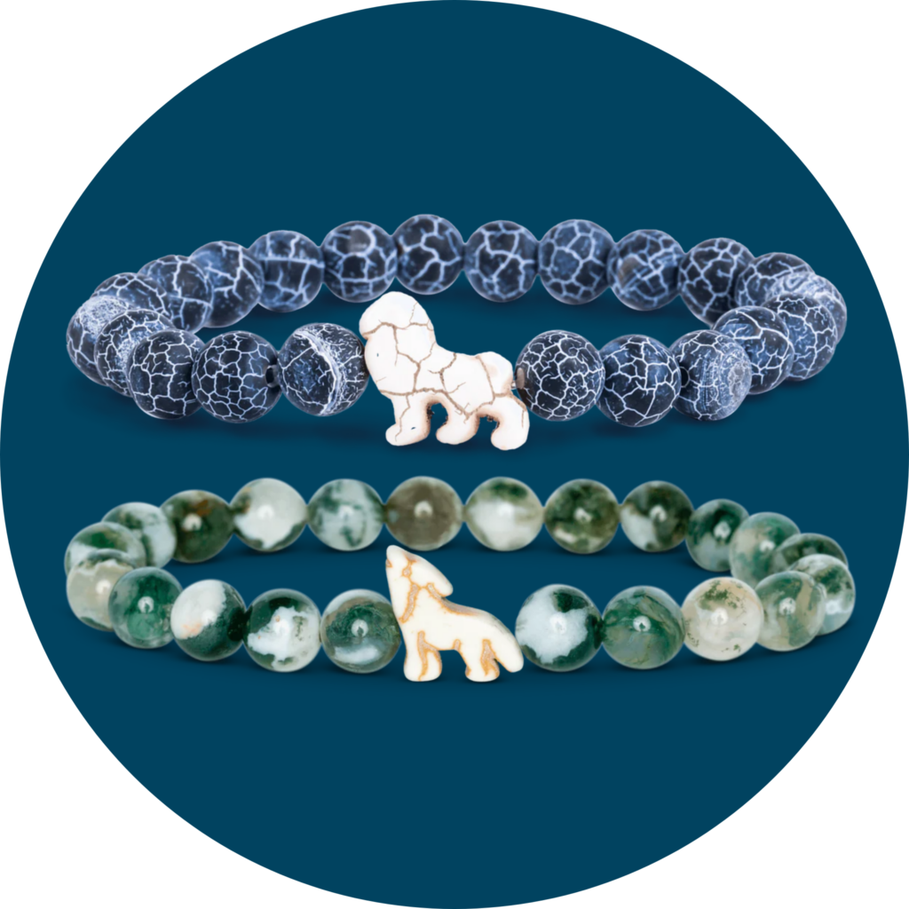 Holiday Gift Guide | Sioux Falls, SD | Great Plains Zoo