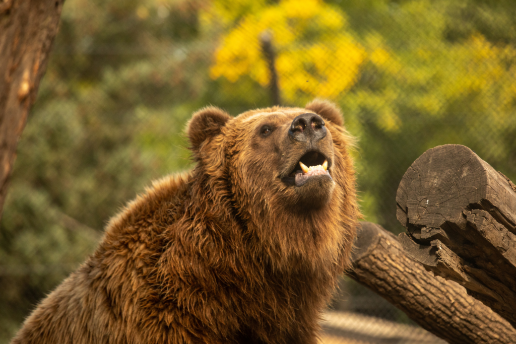 Events - Great Plains Zoo & Delbridge Museum of Natural History