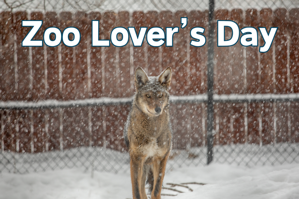 Events - Great Plains Zoo & Delbridge Museum of Natural History