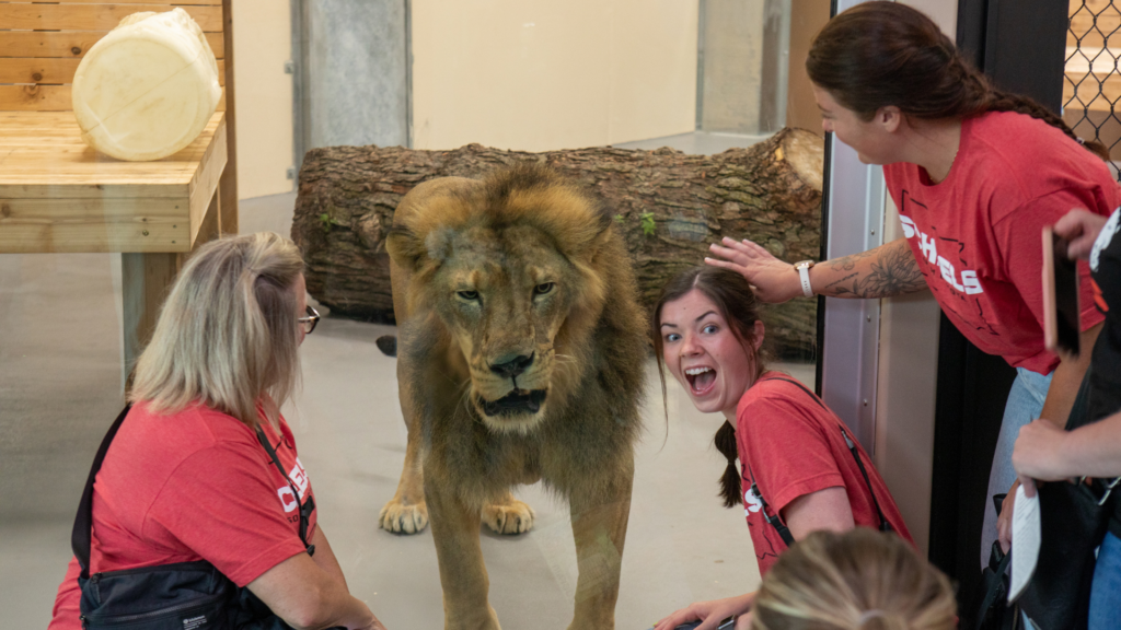 Zoofari | Sioux Falls, SD | Great Plains Zoo